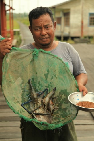 Berau Coal Energy | Mimpi Pulau Besing jadi Kampung Wisata Perikanan